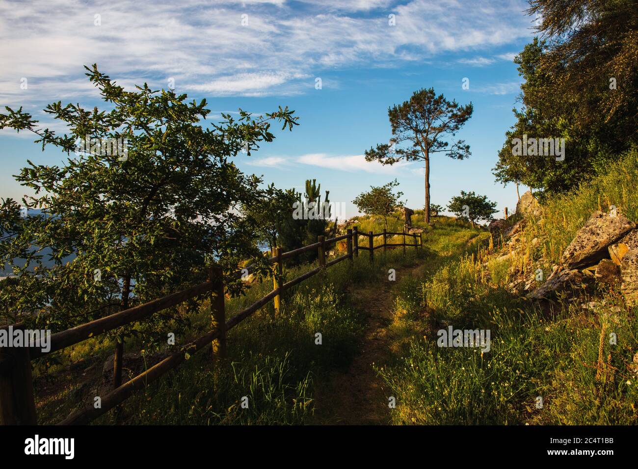 Rustic fence under oak tree hi-res stock photography and images - Alamy