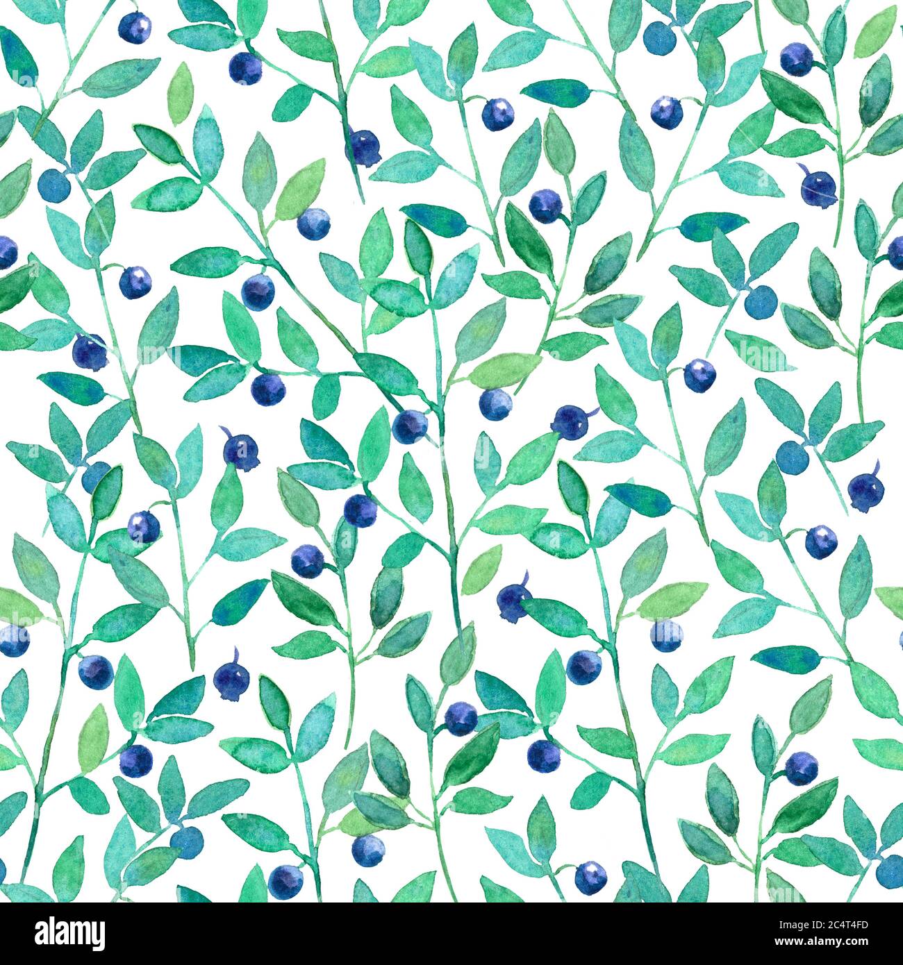 Watercolor berries hi-res stock photography and images - Alamy