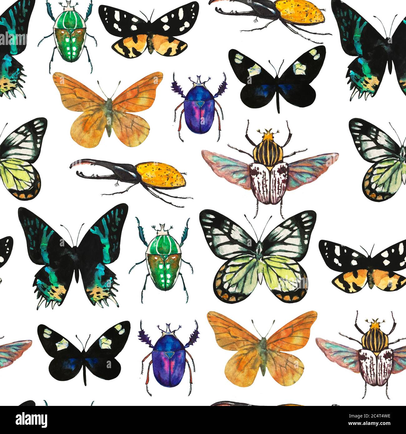 Seamless pattern with bright colorful tropical butterflies, bugs ...