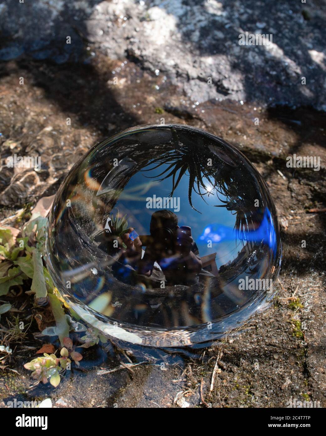Vertical closeup shot of a crystal ball on the ground reflecting the ...