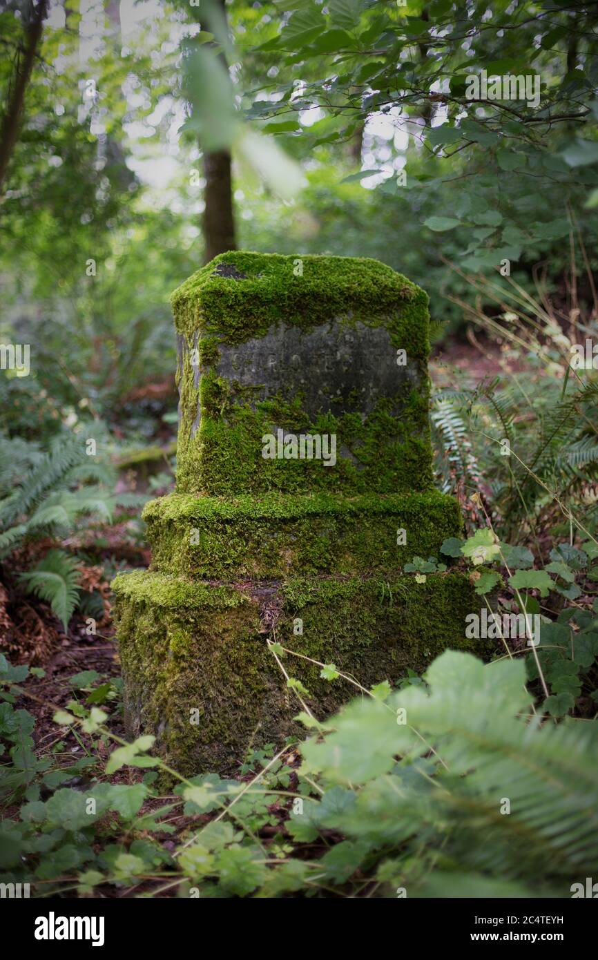 Grave with moss hi-res stock photography and images - Alamy