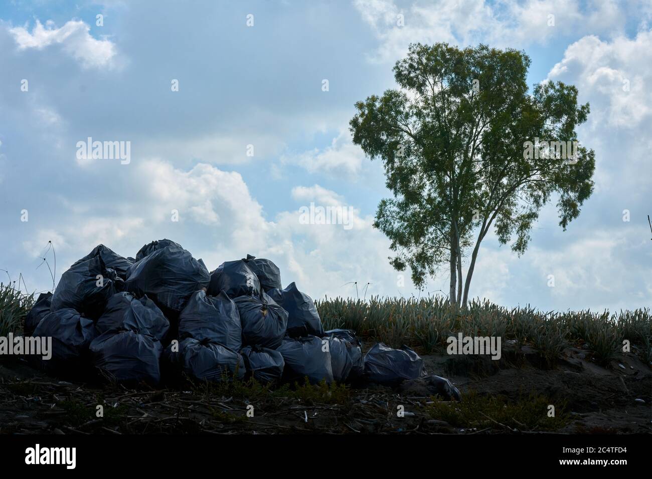 Plastic garbage bags near the tree Stock Photo - Alamy