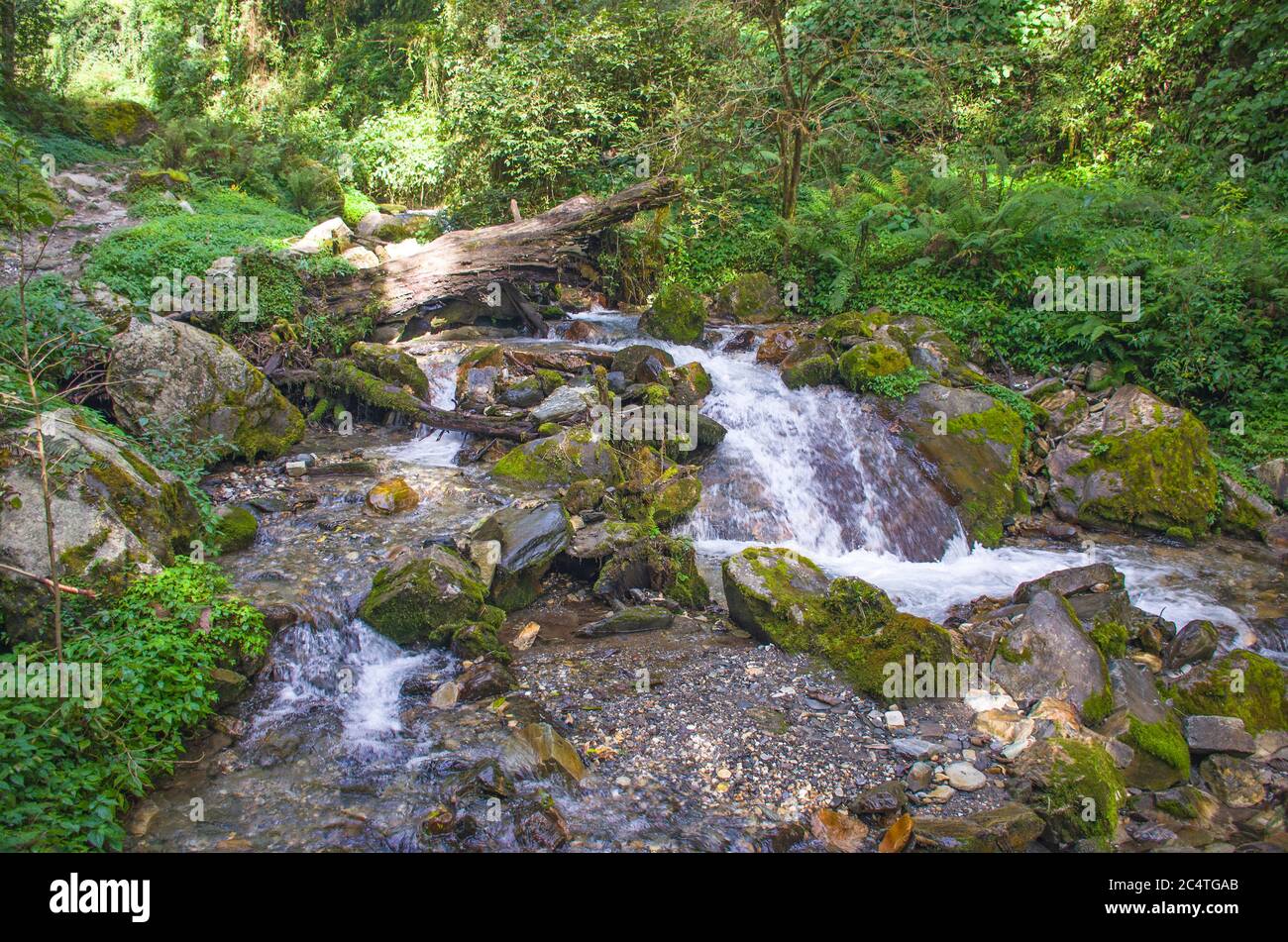 Waterfall in the tropical forest of the Himalayas in Nepal Stock Photo ...