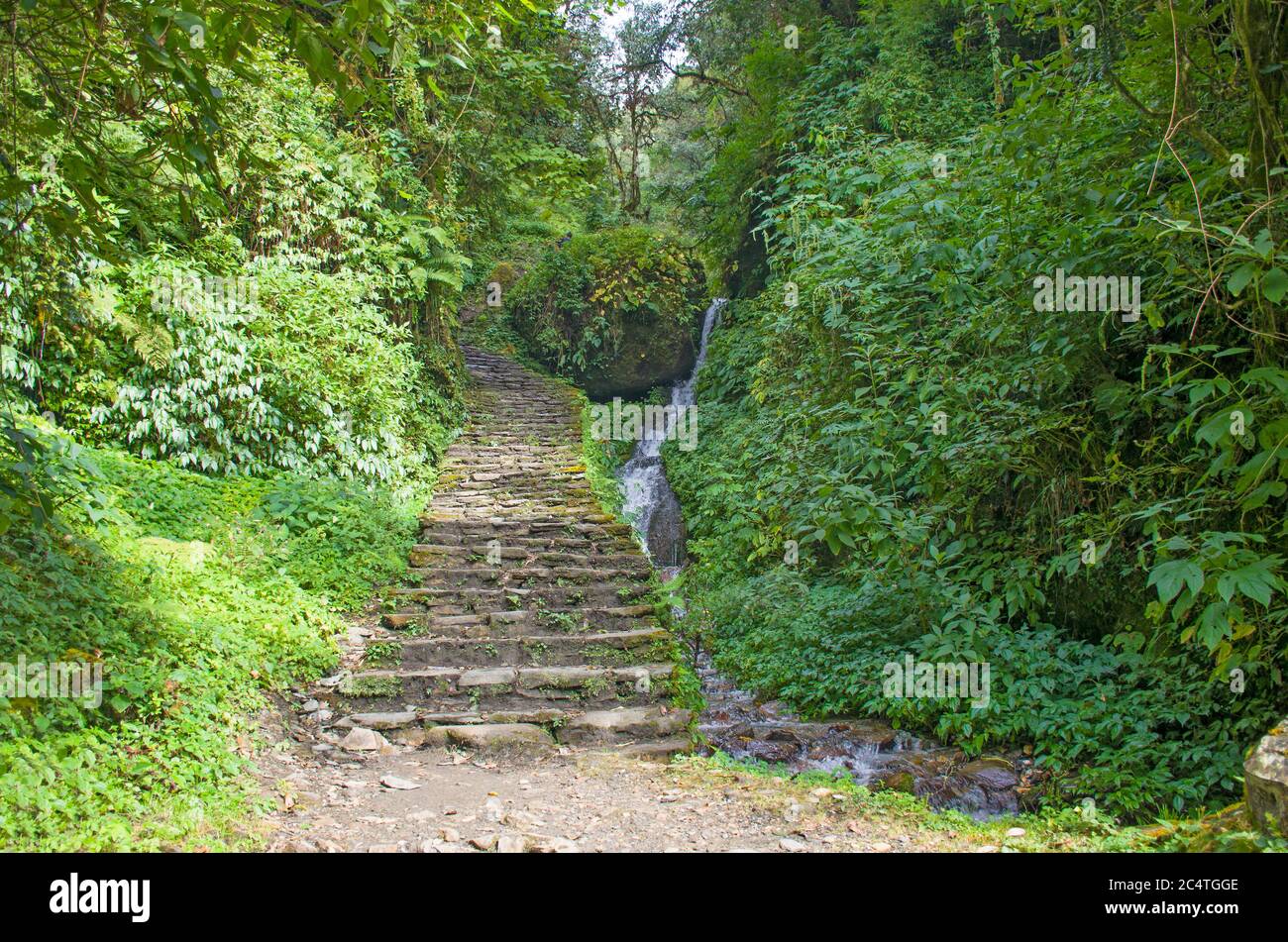 Waterfall in the tropical forest of the Himalayas in Nepal Stock Photo ...