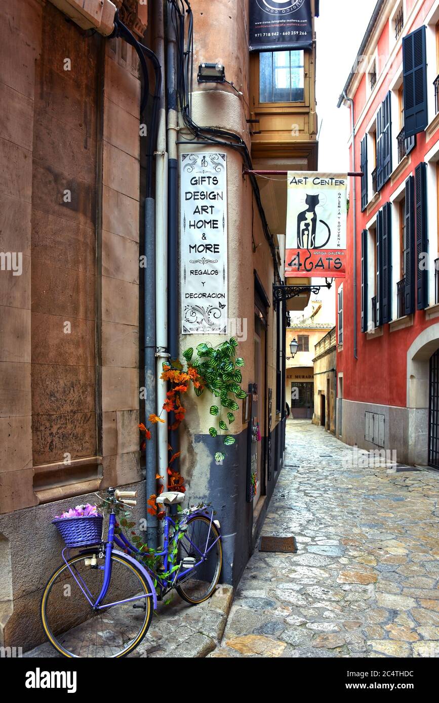 Alley of the cats hi-res stock photography and images - Alamy