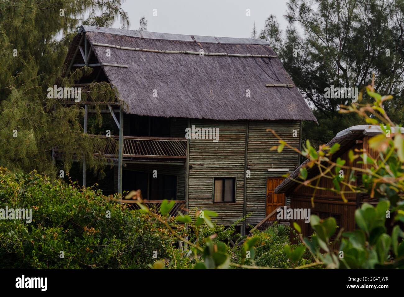 Maputo forest hi-res stock photography and images - Alamy