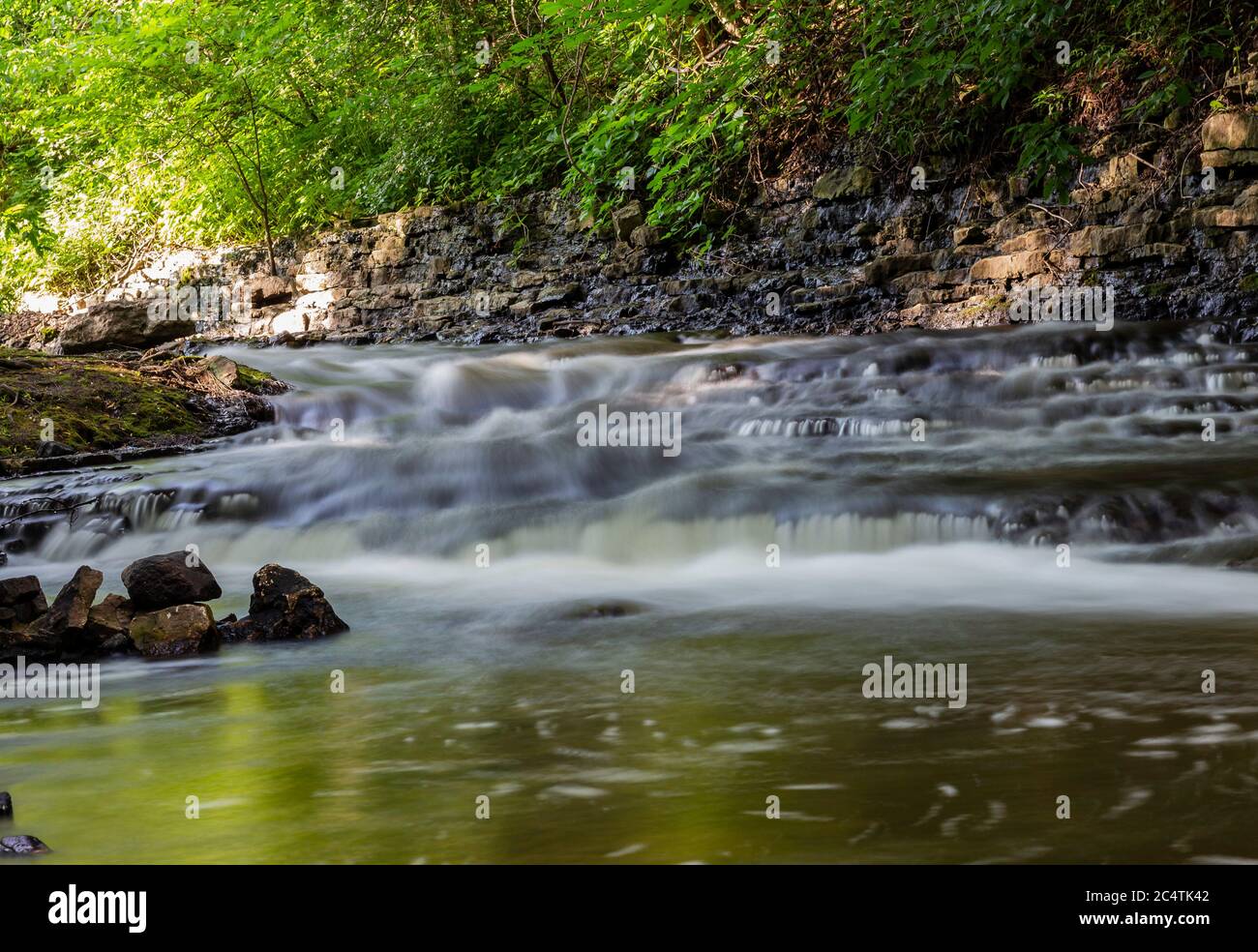 River in a Forest Stock Photo - Alamy