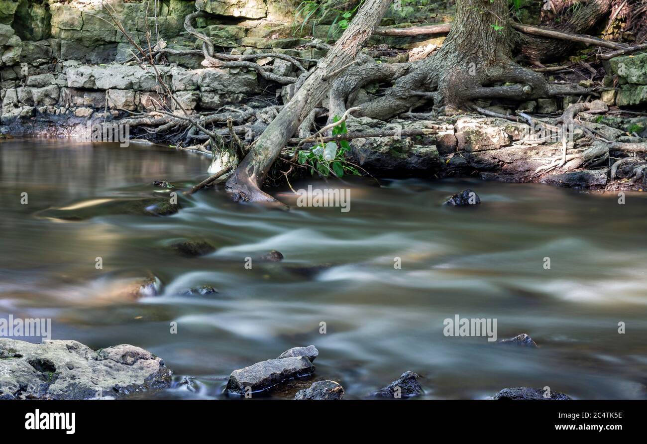River in a Forest Stock Photo - Alamy