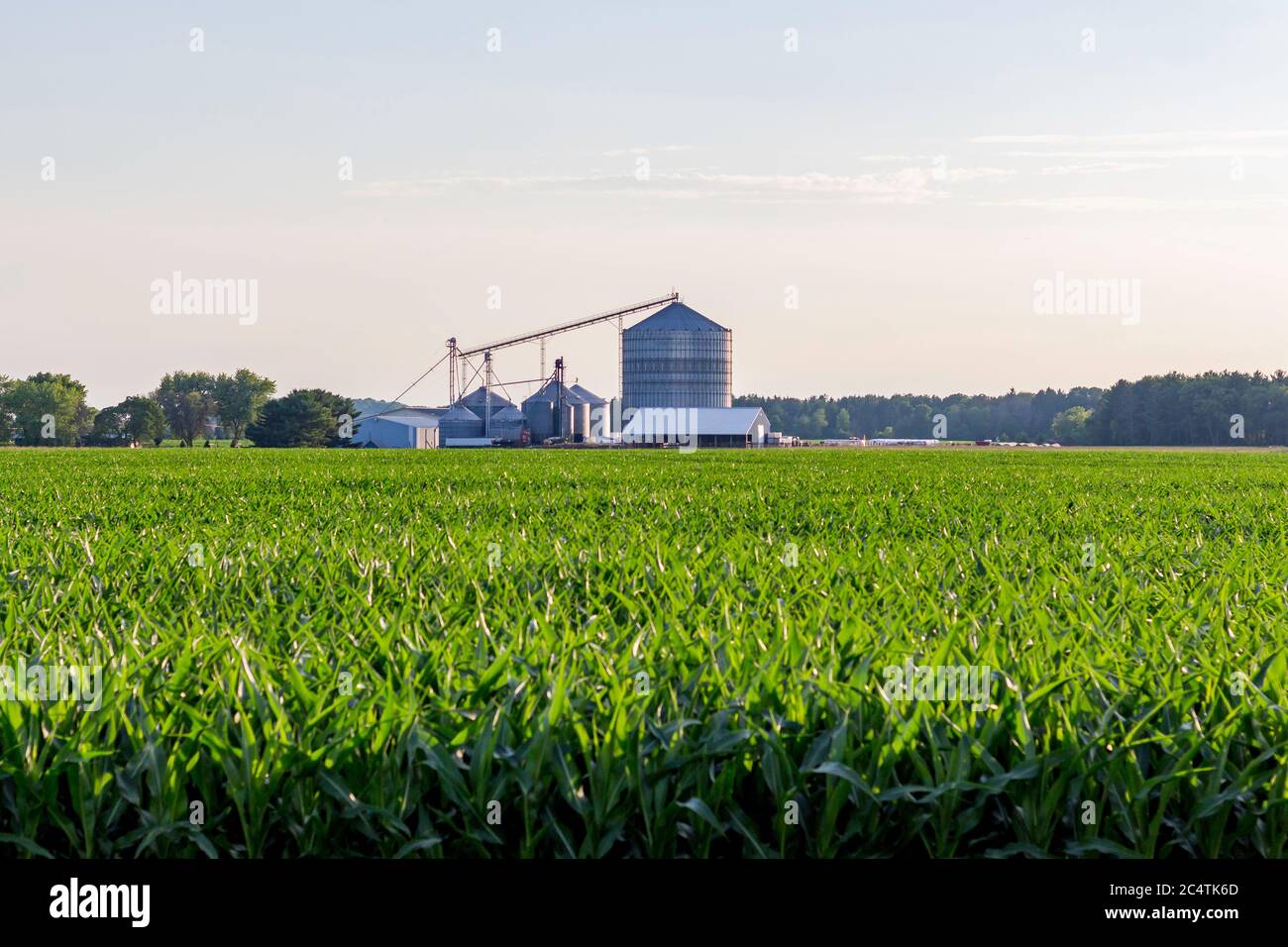 House in a corn farm hi-res stock photography and images - Alamy
