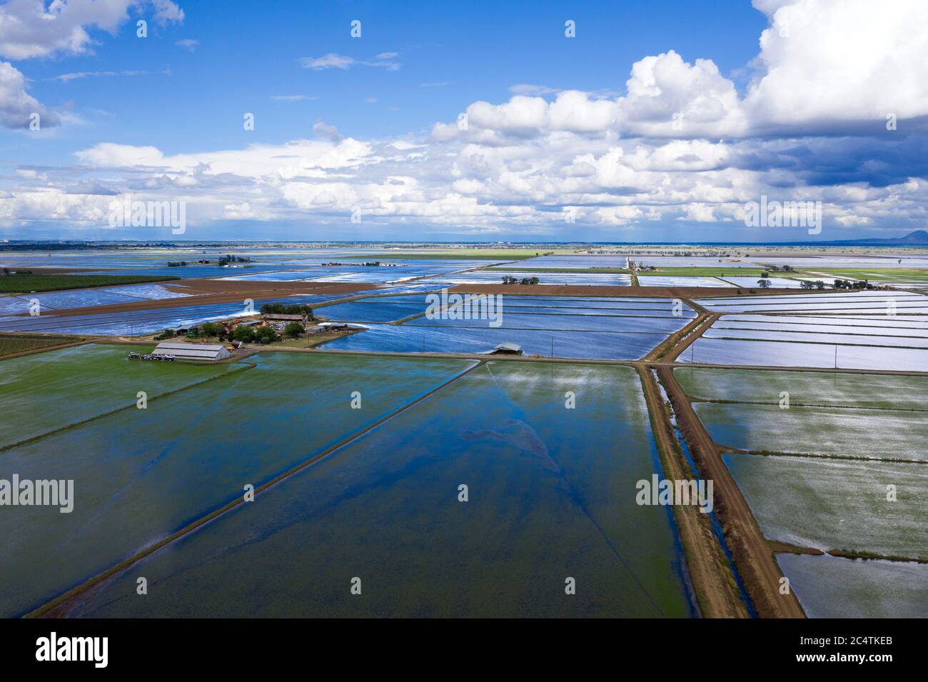 Aerial views of flooded rice fields in the spring in Colusa County ...