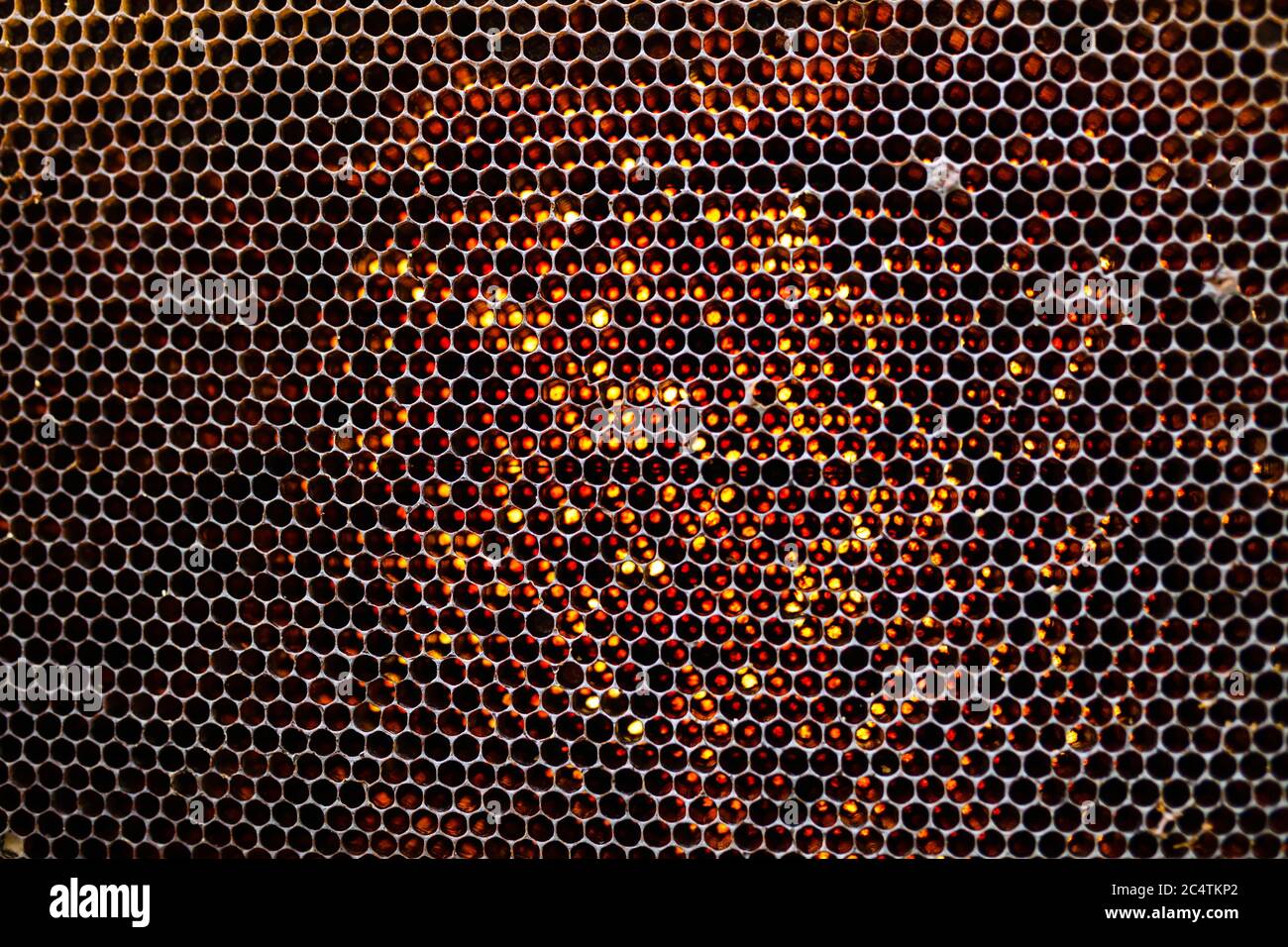 Metal mesh patterned surface with glowing yellow and orange lights ...
