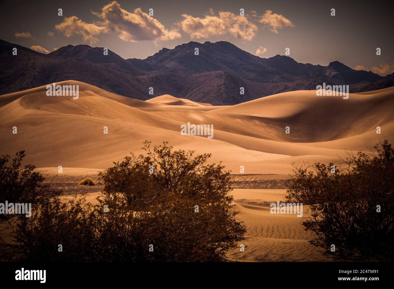 Big Sand Dunes in the desert of Nevada Stock Photo - Alamy