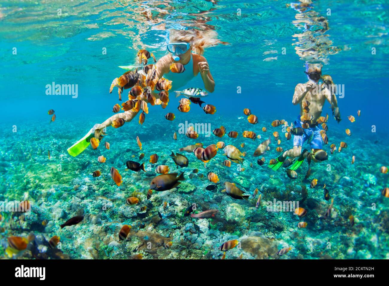 Happy family vacation. Young couple in snorkeling mask hold hand, dive ...