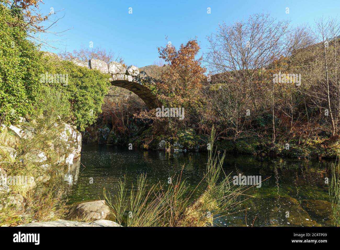 Bridge going over the water surrounded by trees Stock Photo - Alamy