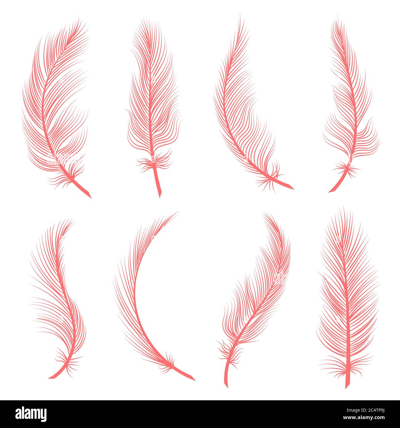 Decorative pink feathers Stock Vector Image & Art - Alamy