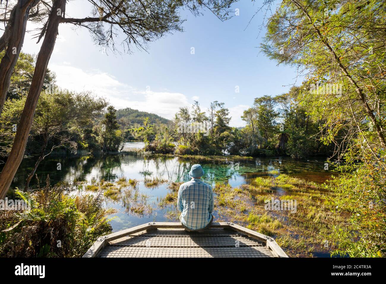 Unusual blue spring in New Zealand. Beautiful natural landscapes Stock ...