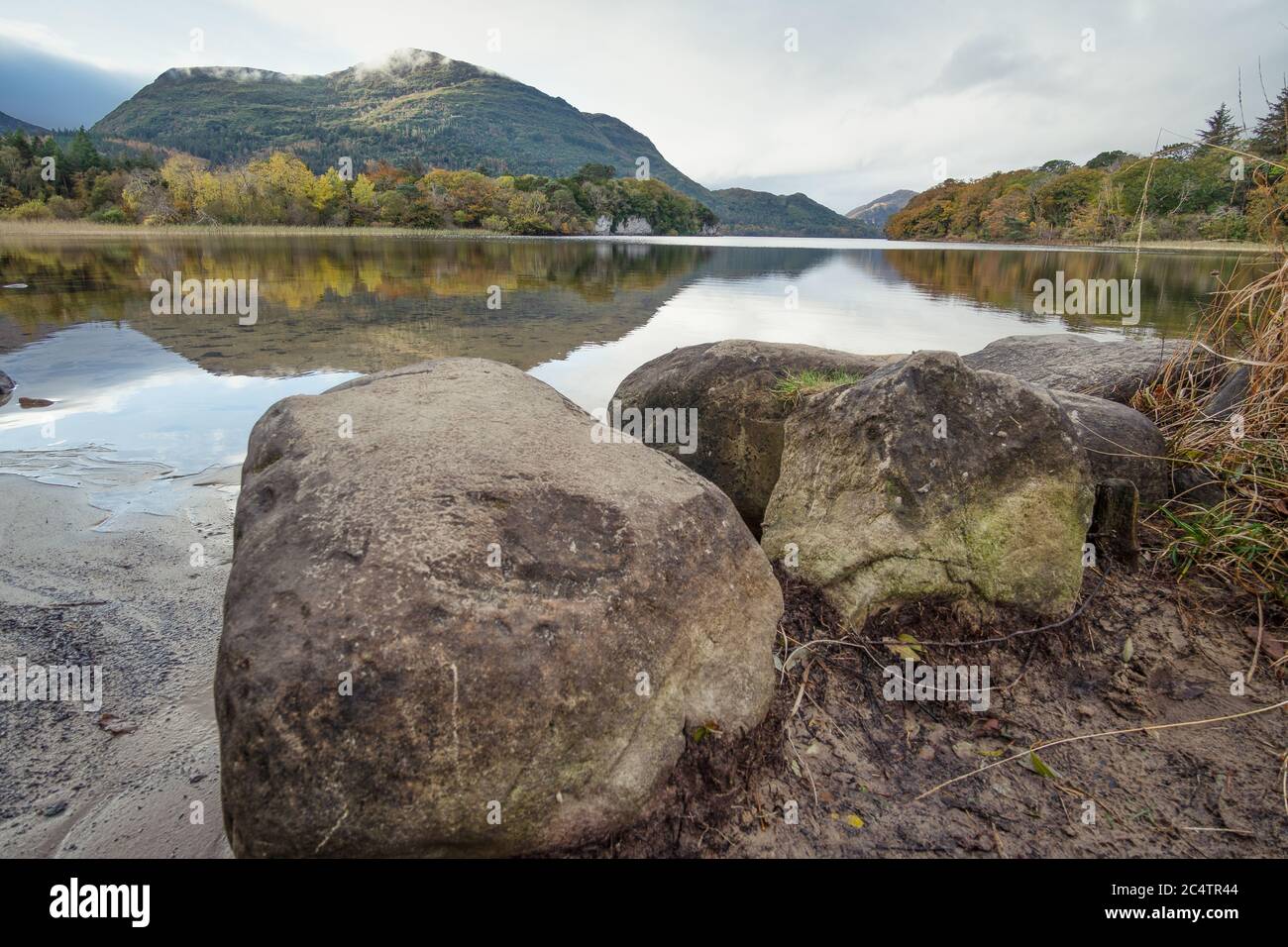 Lake tour killarney national park hi-res stock photography and images ...