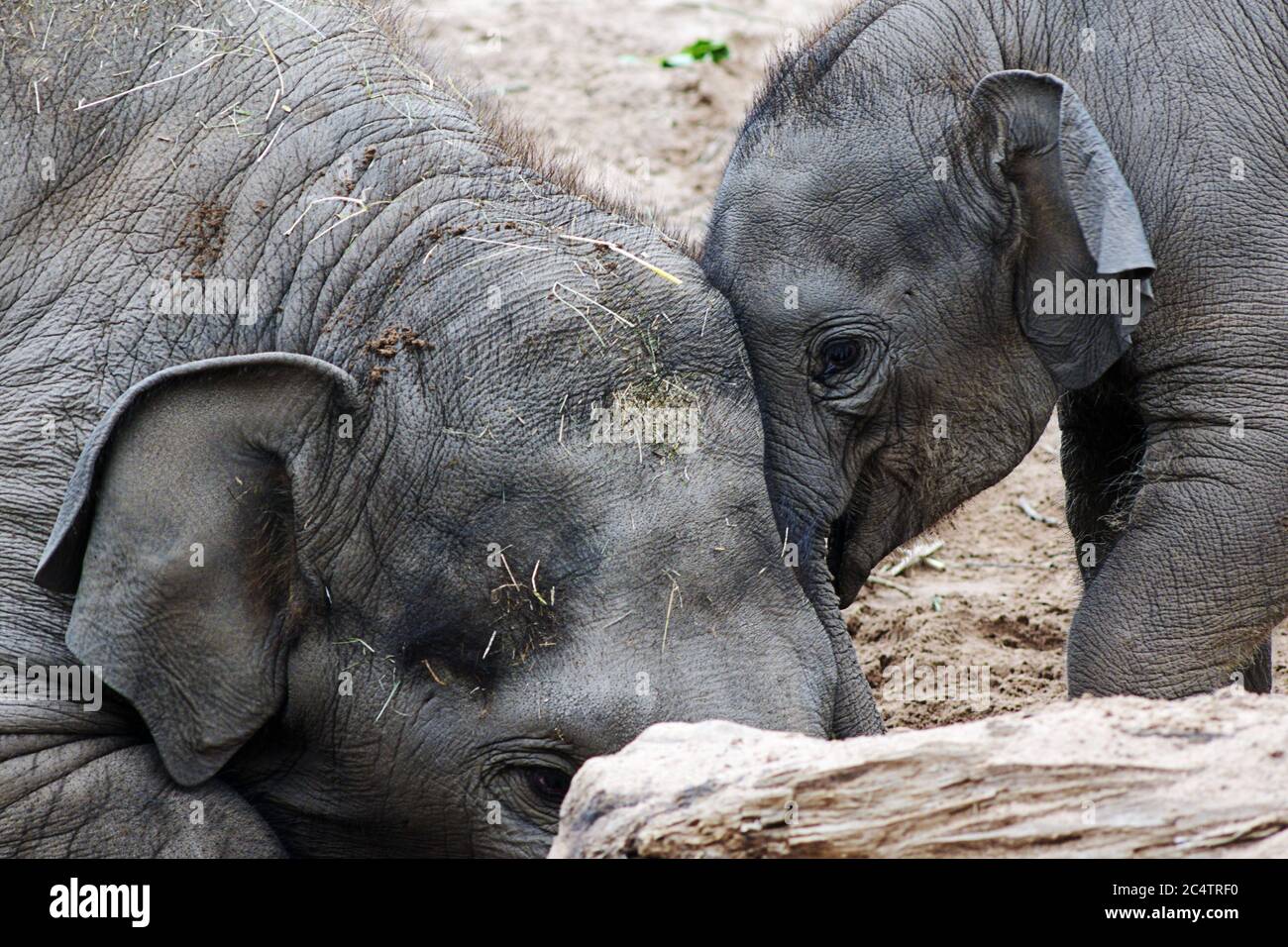 Nudge funny hi-res stock photography and images - Alamy