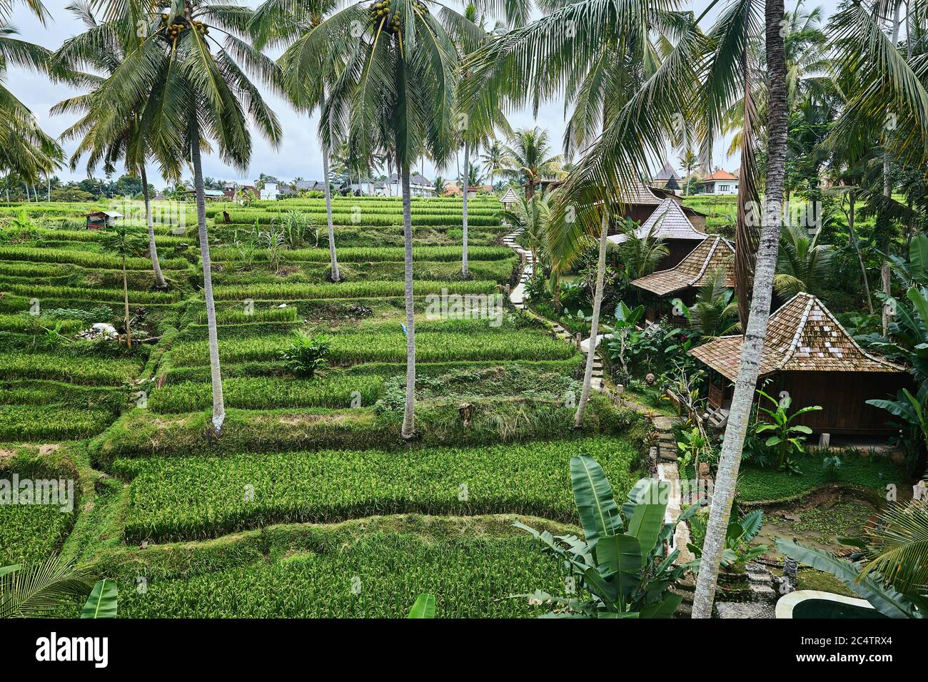 Beautiful hotel with houses near rice terrace Stock Photo - Alamy