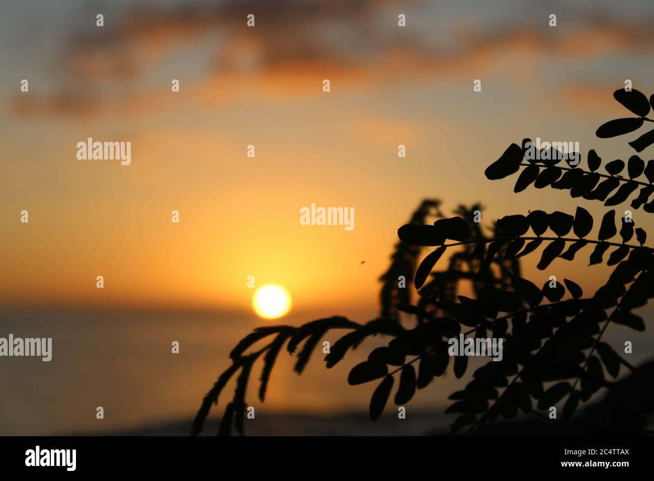 Golden hour skies hi-res stock photography and images - Alamy