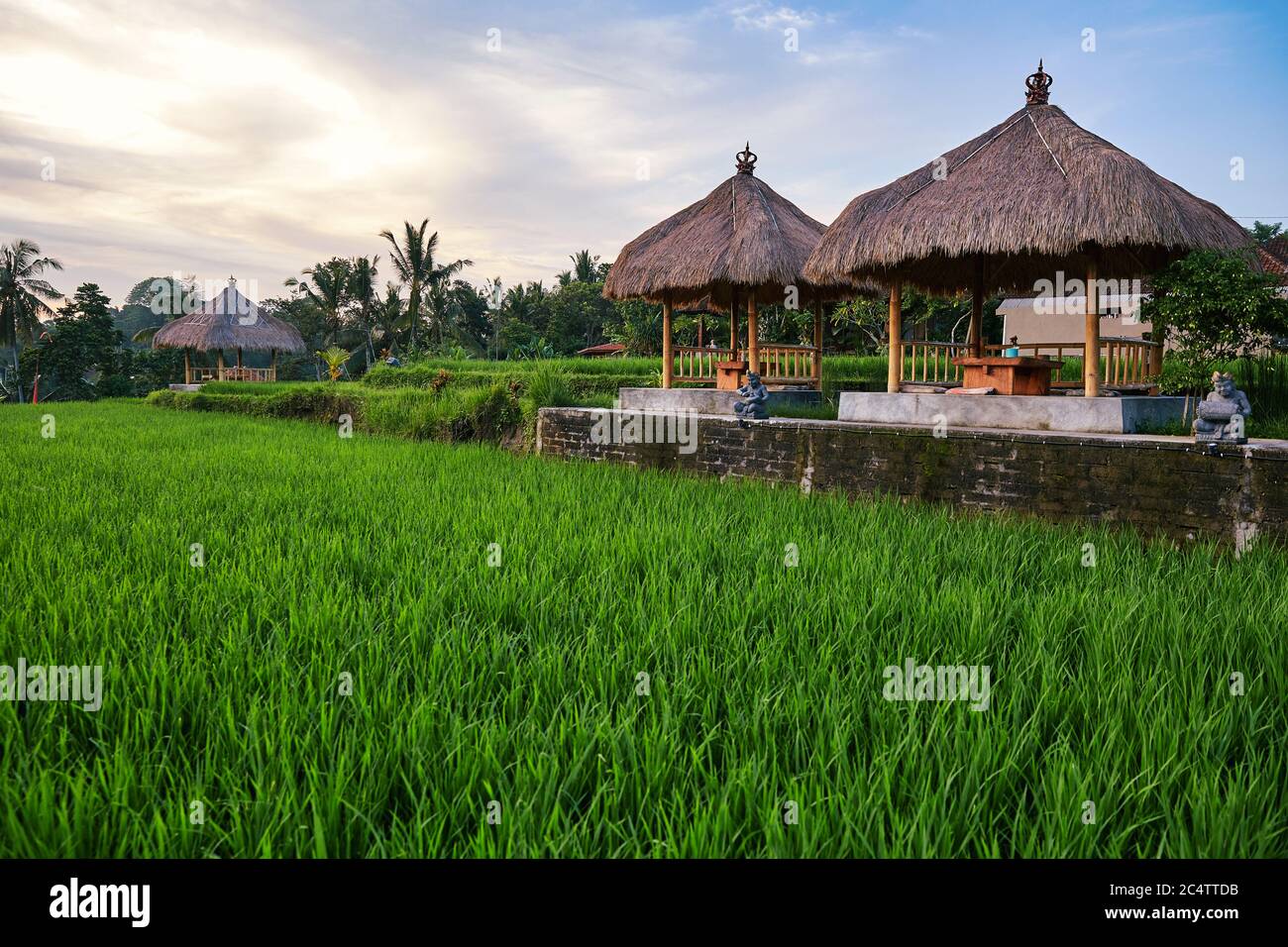 Ubud valley hi-res stock photography and images - Alamy