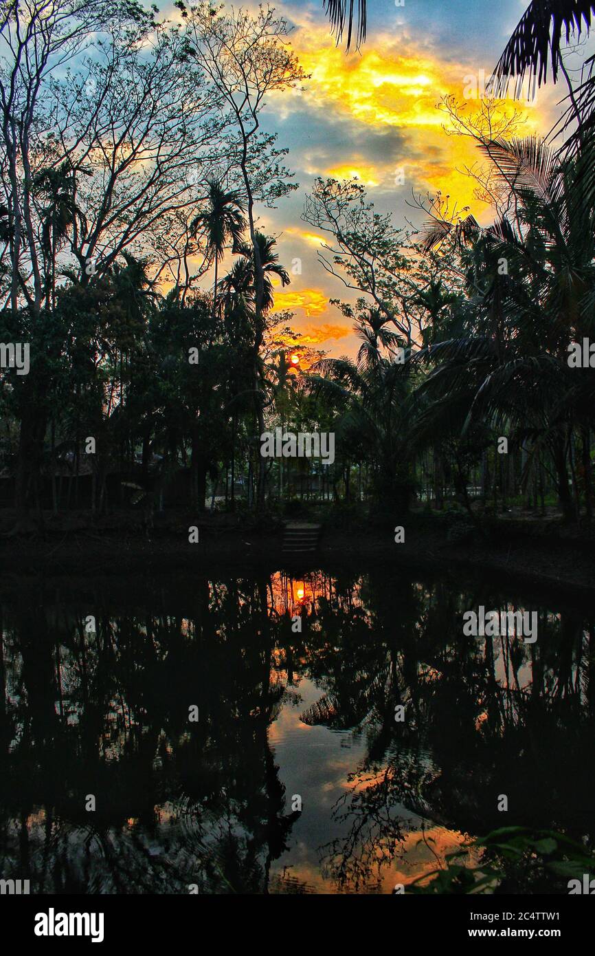 Good morning vector hi-res stock photography and images - Alamy