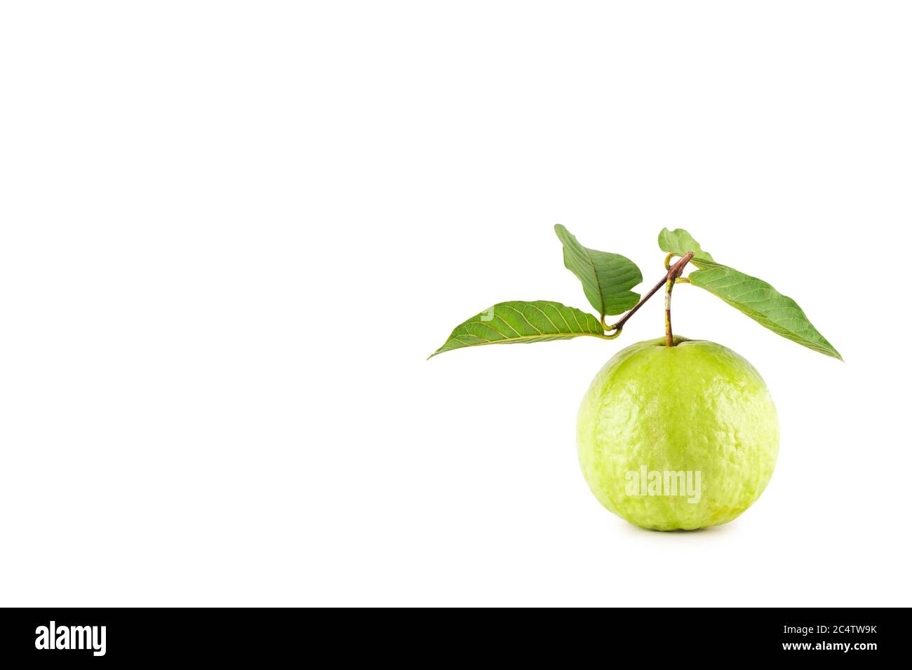 fresh guava and green guava leaf on white background fruit agriculture ...