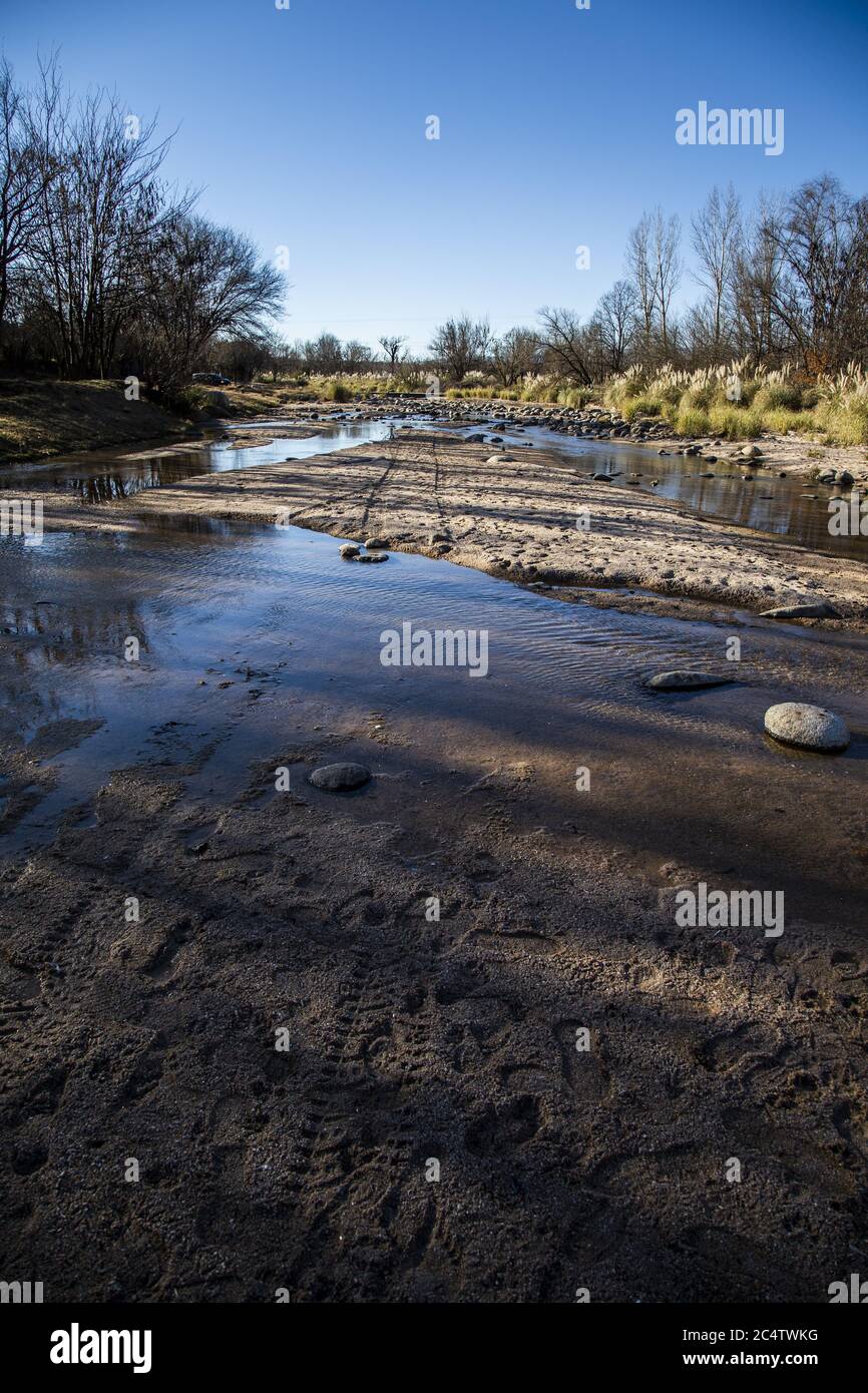 Vertical image of a drying river lined with trees Stock Photo - Alamy