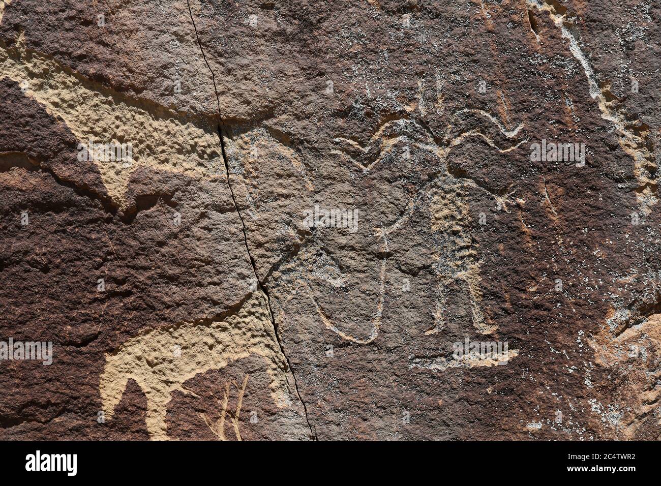 Native American Indian rock art petroglyph horse figure Utah 1374. Nine ...