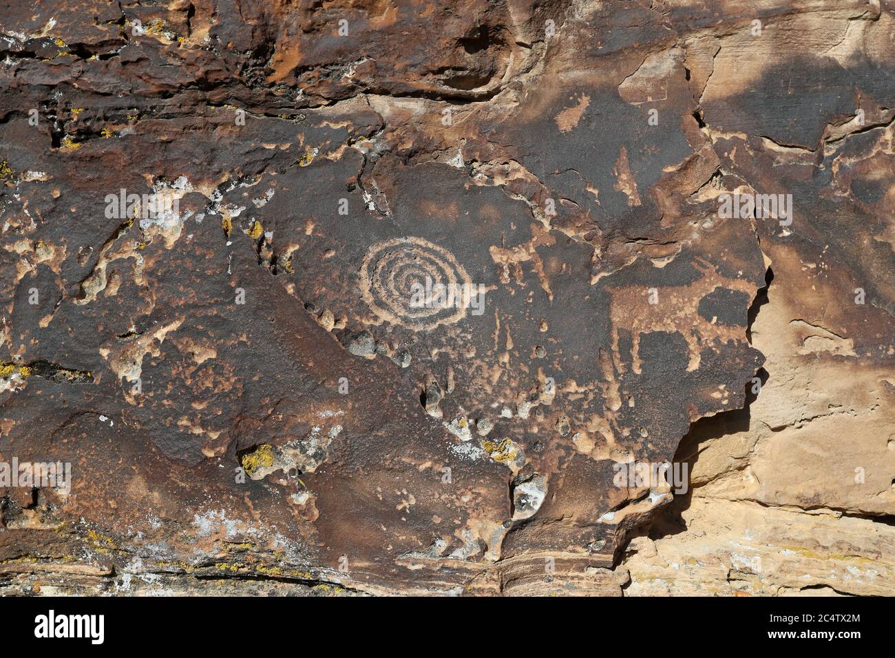 Ancient Native American Indian rock art petroglyph sheep circle Utah ...