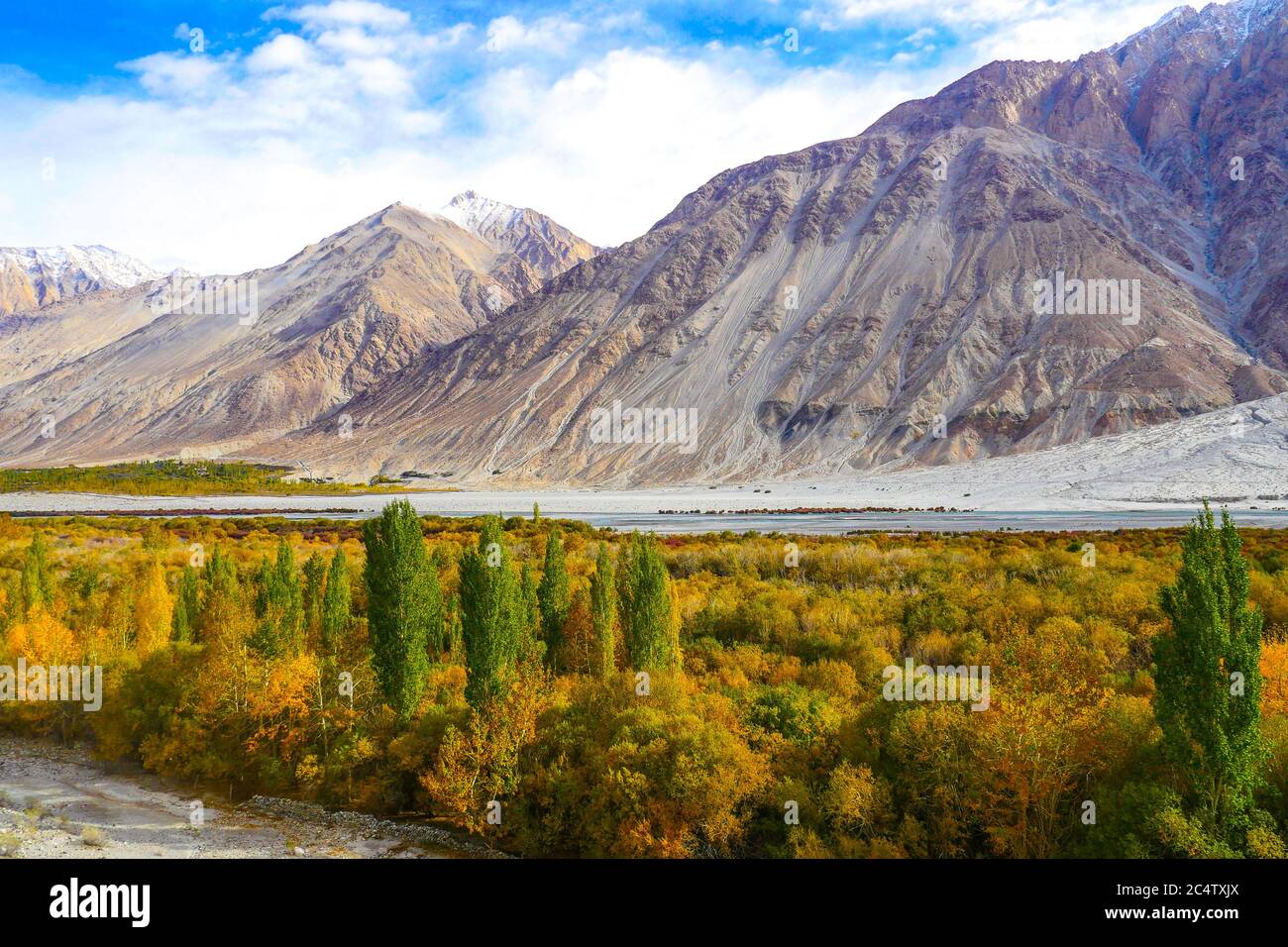 Landscape view of Ladakh India Stock Photo - Alamy