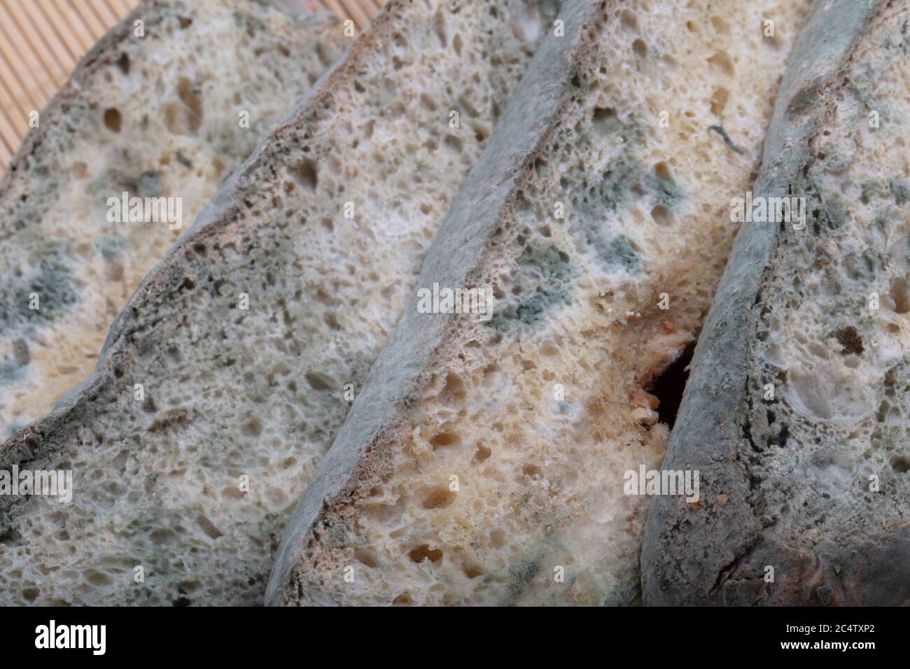 Macrophotography of green mildew on a stale bread. Surface of moldy ...