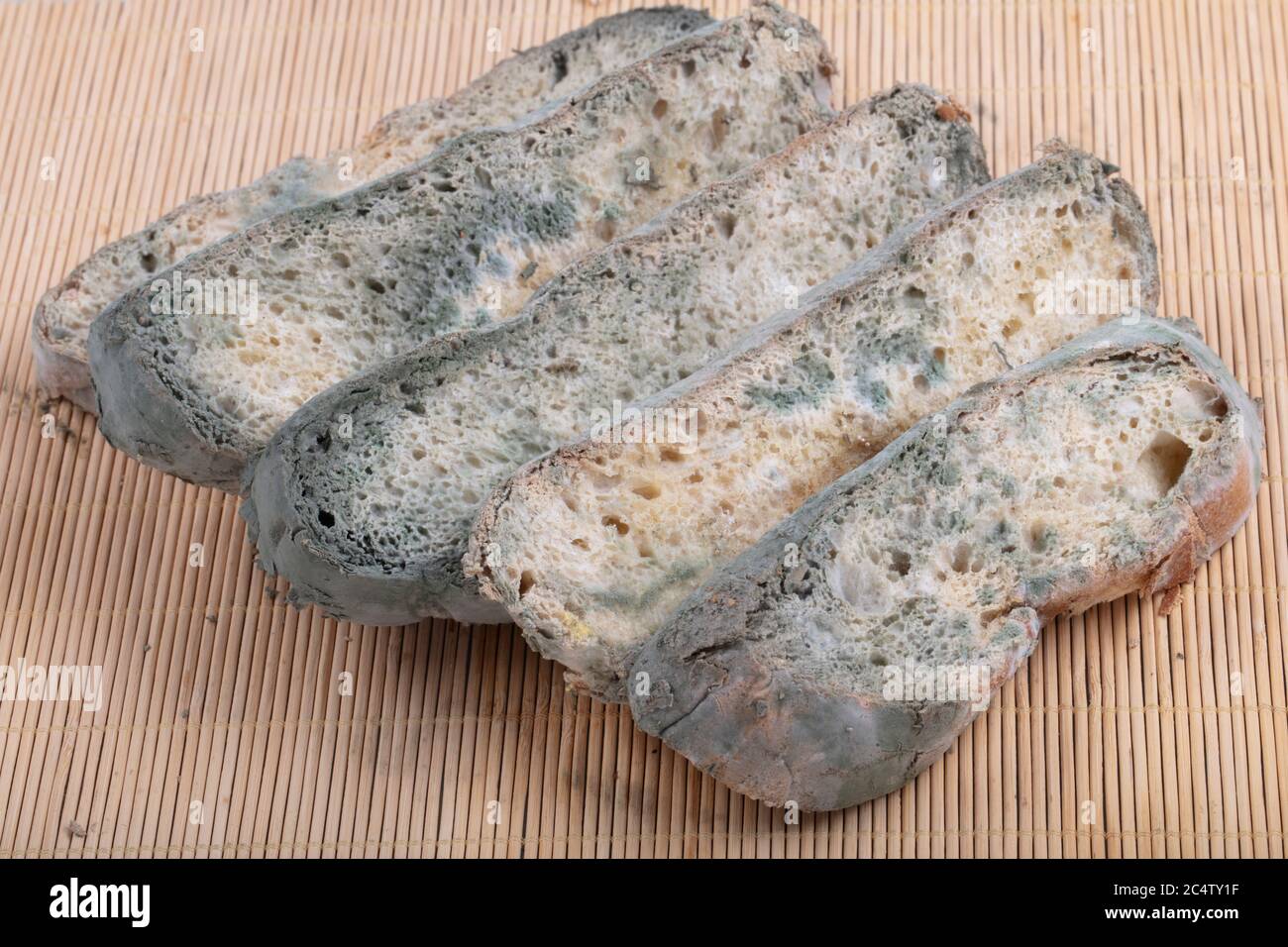 Penicillium fungus on bread hi-res stock photography and images - Alamy