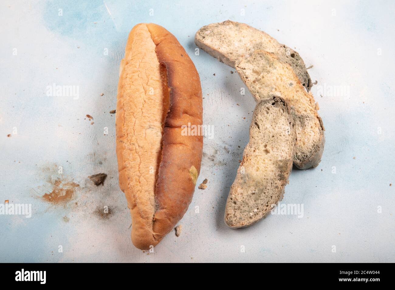Macrophotography of green mildew on a stale bread. Surface of moldy ...
