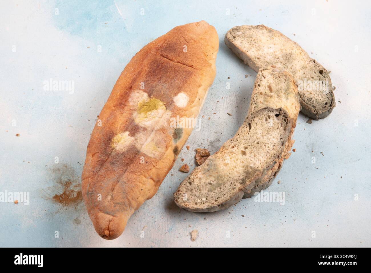 Penicillium fungus on bread hi-res stock photography and images - Alamy