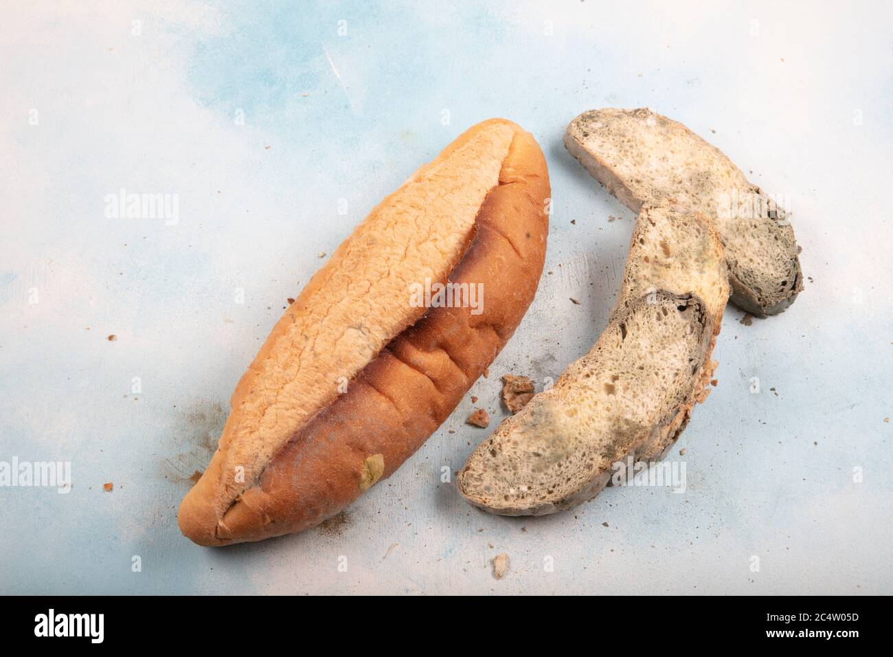 Macrophotography of green mildew on a stale bread. Surface of moldy ...