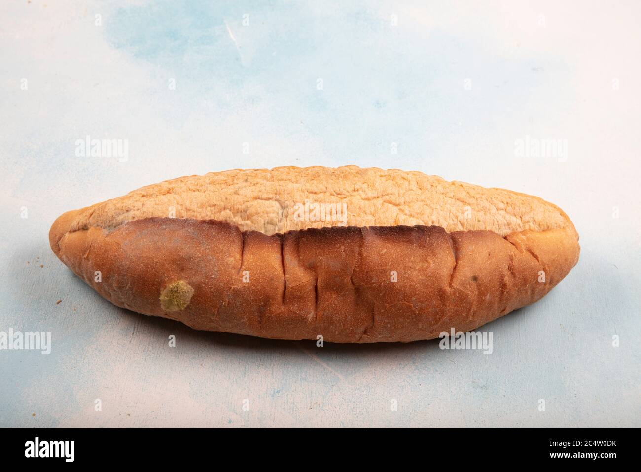 Penicillium fungus on bread hi-res stock photography and images - Alamy