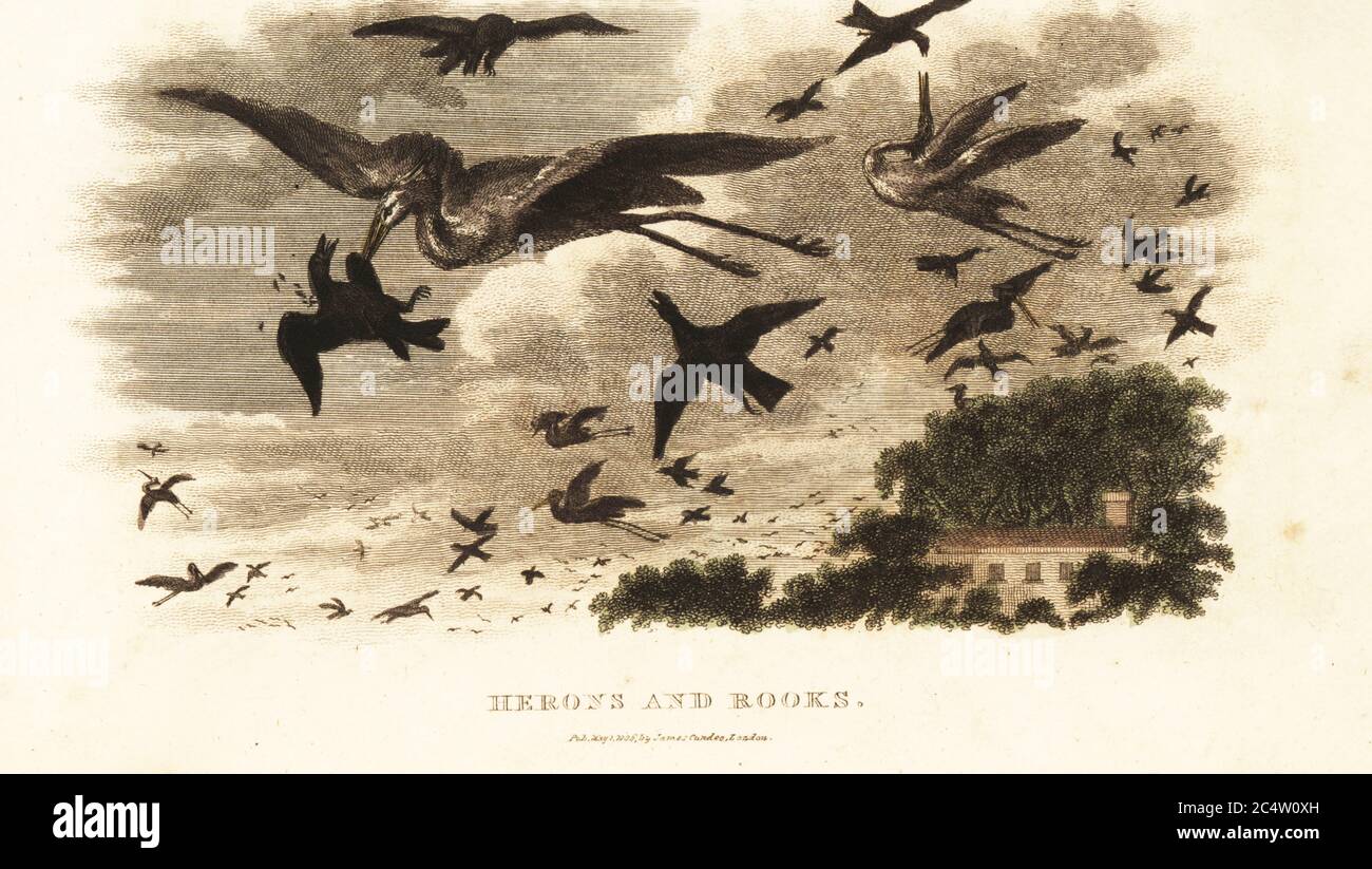 Reverend william smith hi-res stock photography and images - Alamy