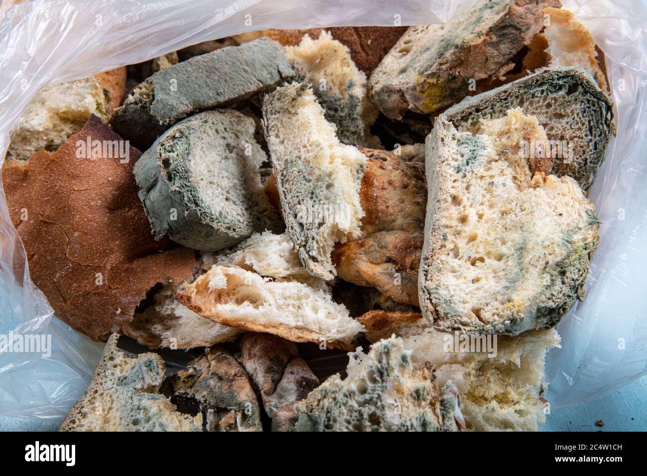 Macrophotography of green mildew on a stale bread. Surface of moldy ...