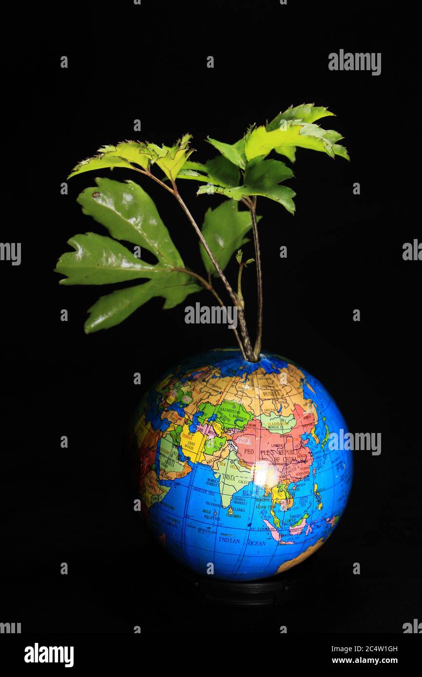 Green Earth Backgrounds