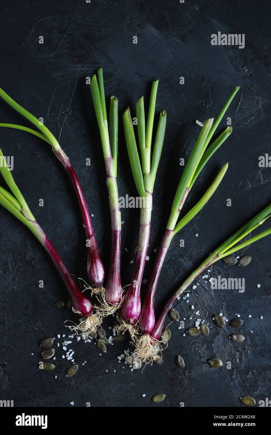 purple spring onions on dark table background Stock Photo - Alamy