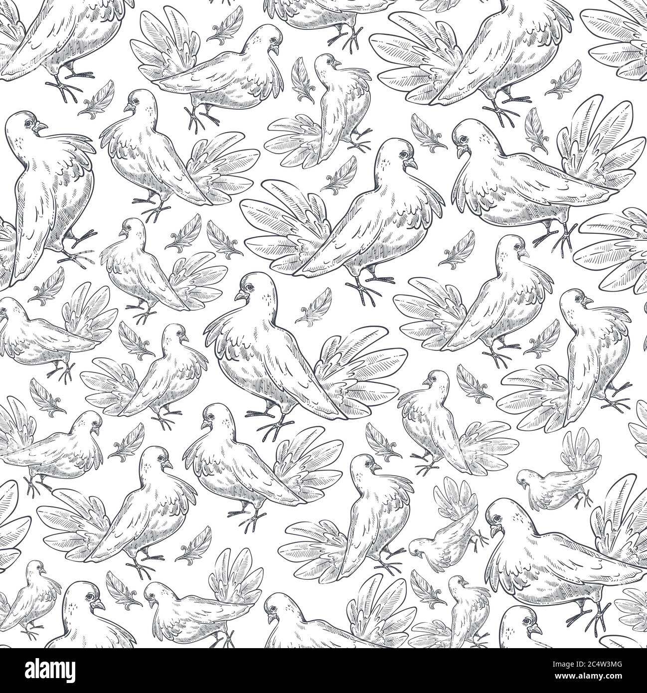 Pigeons print, flying doves, colorless birds seamless pattern Stock ...