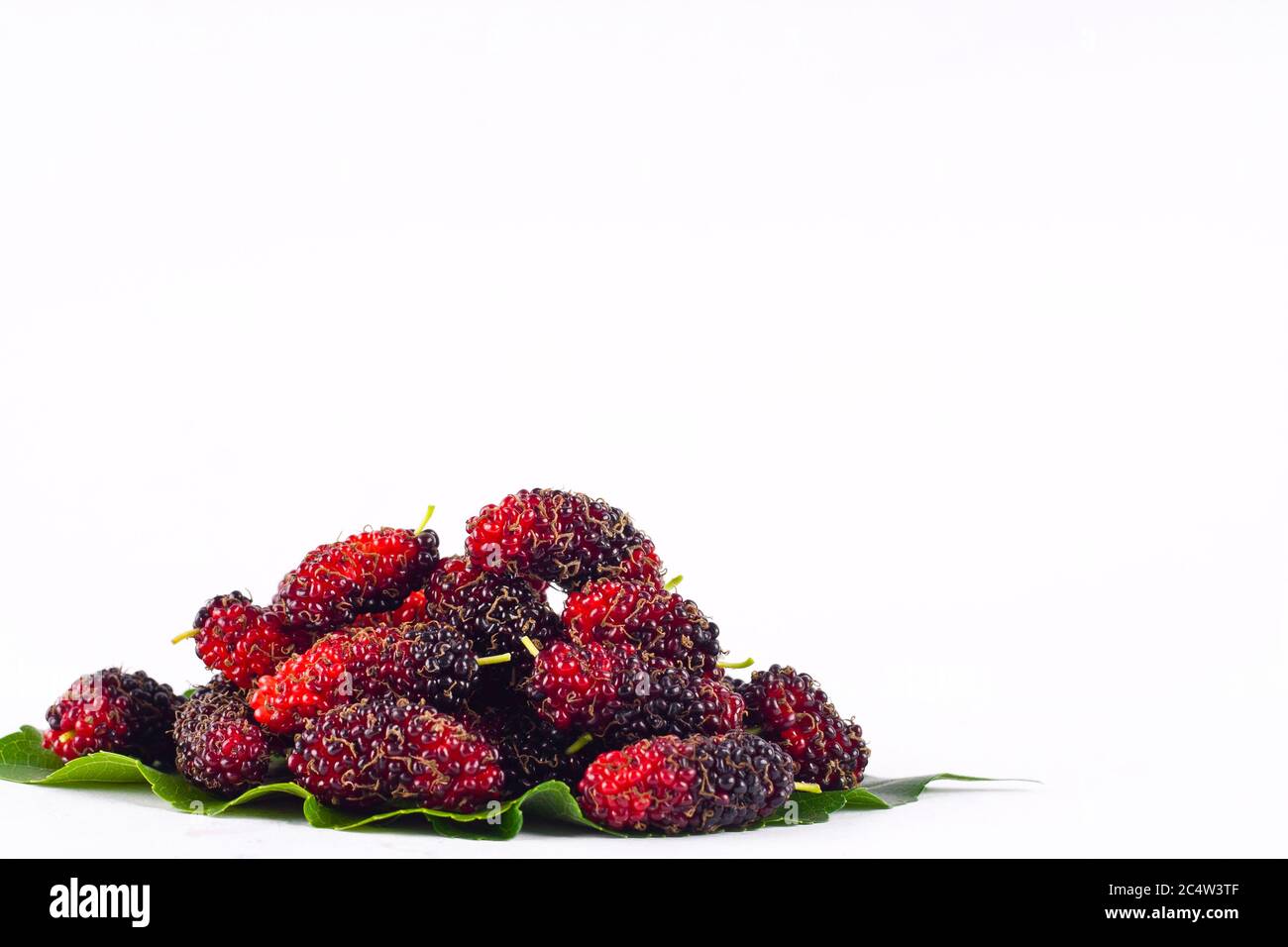 Black mulberry fruit hi-res stock photography and images - Alamy
