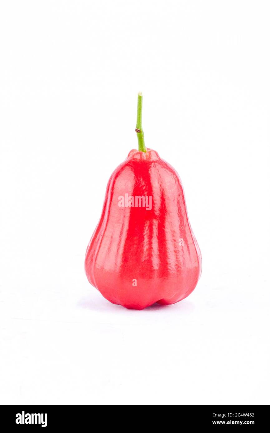 fresh red rose apple on white background healthy rose apple fruit food ...