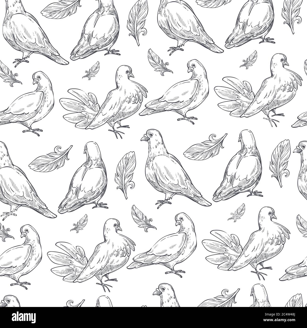 Doves birds with feathers, pigeons seamless pattern vector Stock Vector ...