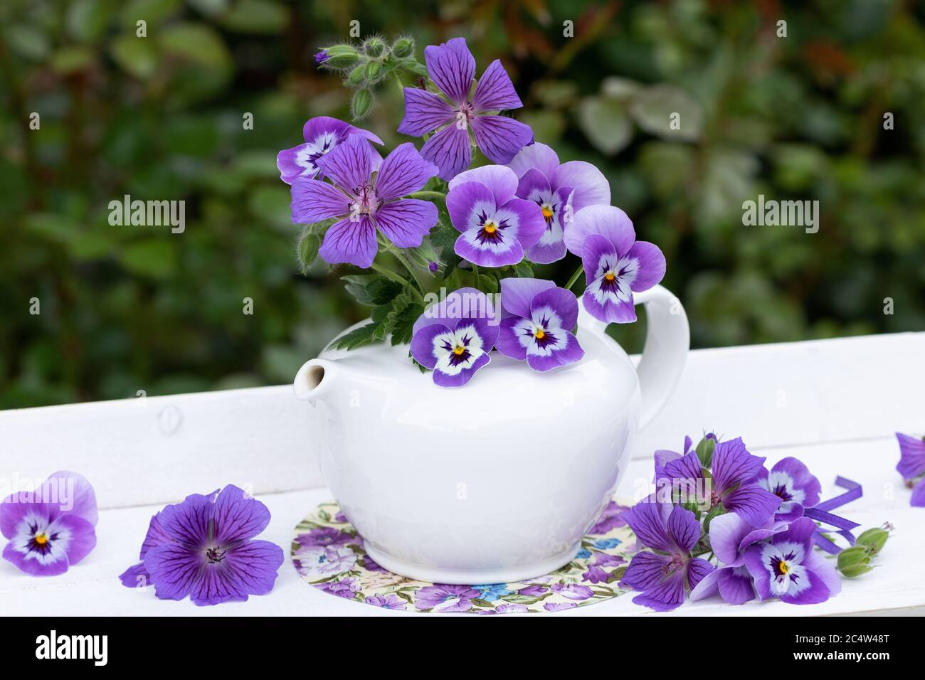 Purple tea hi-res stock photography and images - Alamy