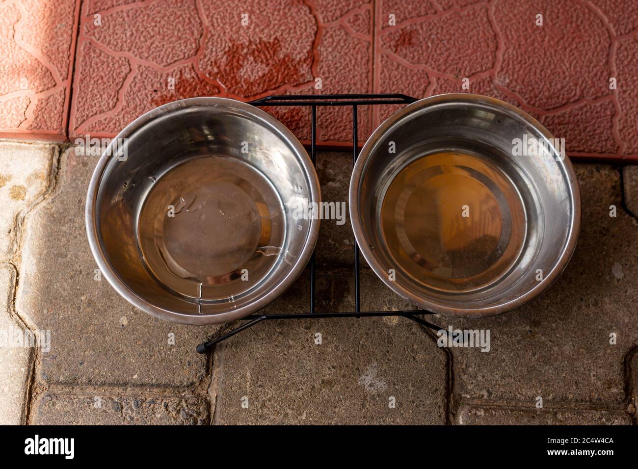 Steel plates with water for a dog Stock Photo - Alamy