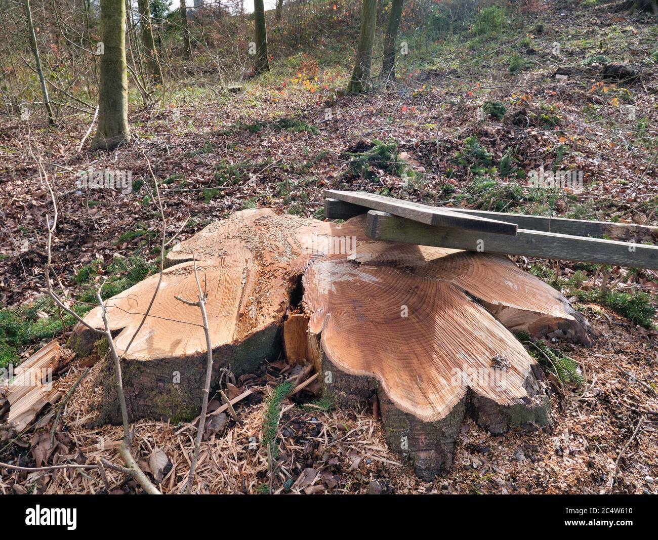 Chips production hi-res stock photography and images - Alamy