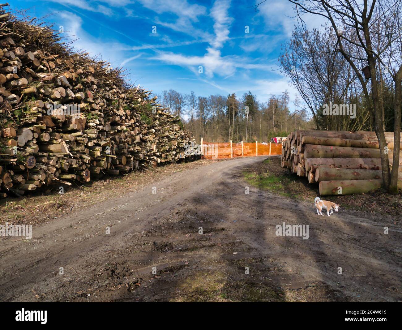 Top down cross section hi-res stock photography and images - Alamy