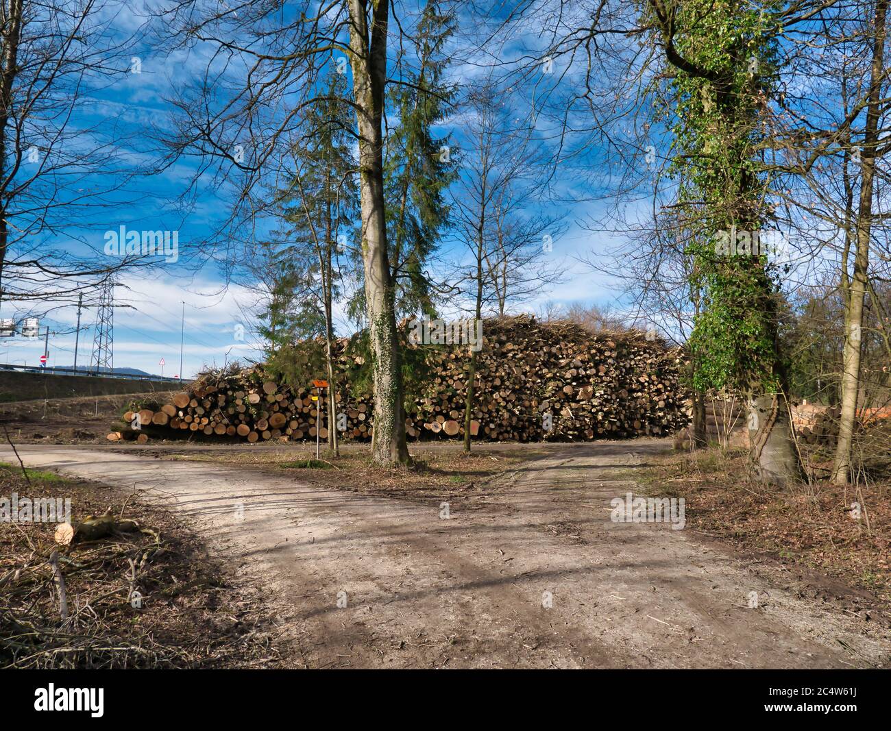 Top down cross section hi-res stock photography and images - Alamy